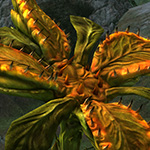 Starfall Prophecy Preview: Xarth Mire | RIFT